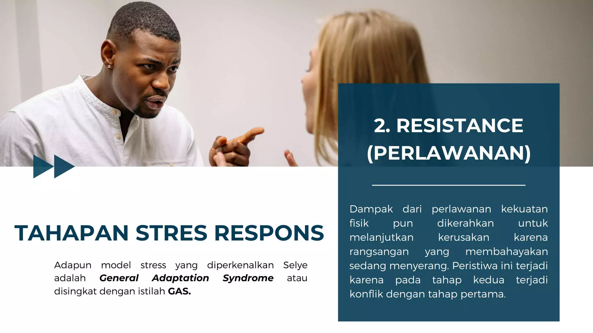 theory of stress and crisis | PDF