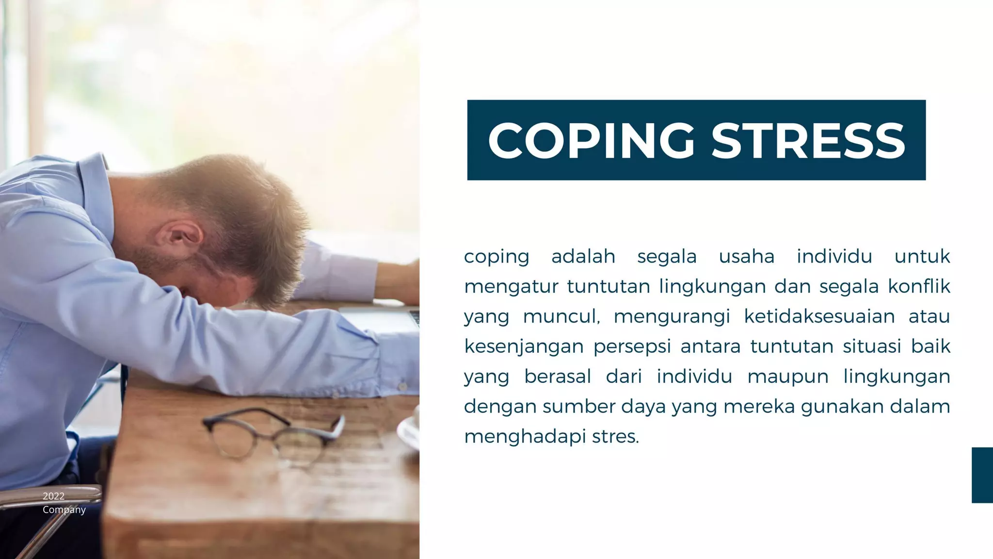theory of stress and crisis | PDF