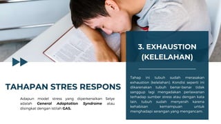 theory of stress and crisis | PDF