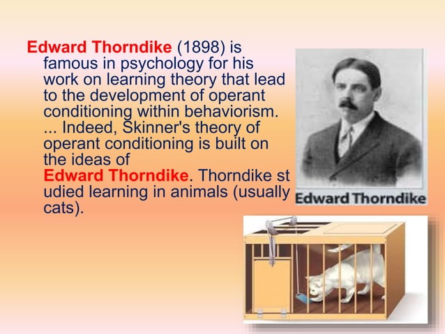 Theory of Thorndike - Learning Theory | PPTX