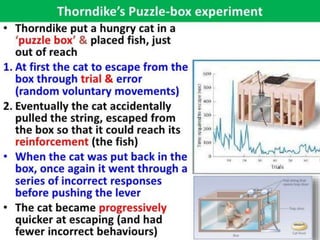 Theory of Thorndike - Learning Theory | PPTX