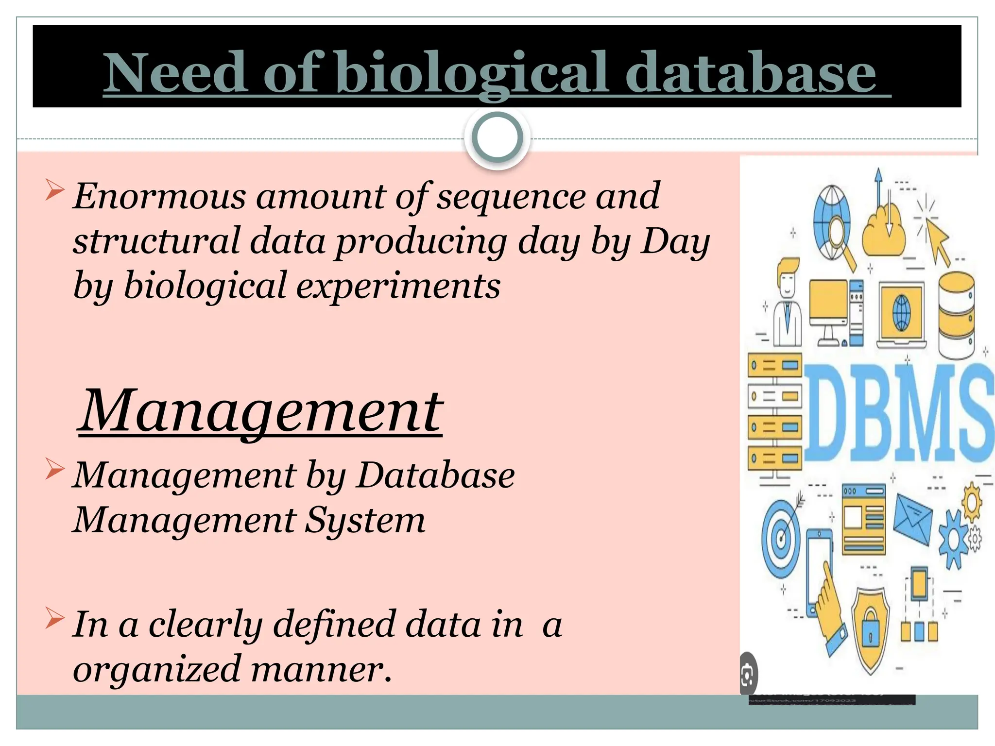 theory ppt 2_115659 neha cc.pptx bioinformatics | PPTX