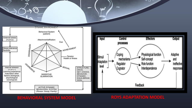 BEHAVIORAL AND SYSTEM MODEL | PDF