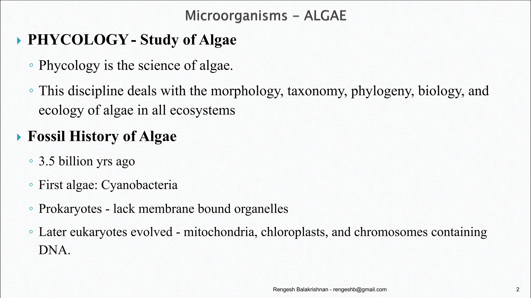 Algae: Structure, Classification, and Reproduction | PDF