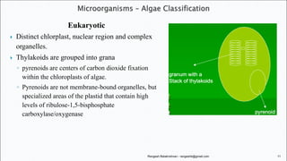 Algae: Structure, Classification, and Reproduction | PDF