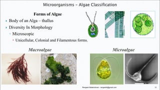 Algae: Structure, Classification, and Reproduction | PDF