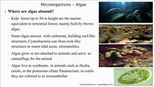Algae: Structure, Classification, and Reproduction | PDF