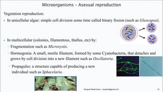 Algae: Structure, Classification, and Reproduction | PDF