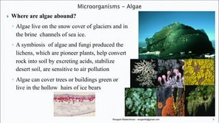 Algae: Structure, Classification, and Reproduction | PDF