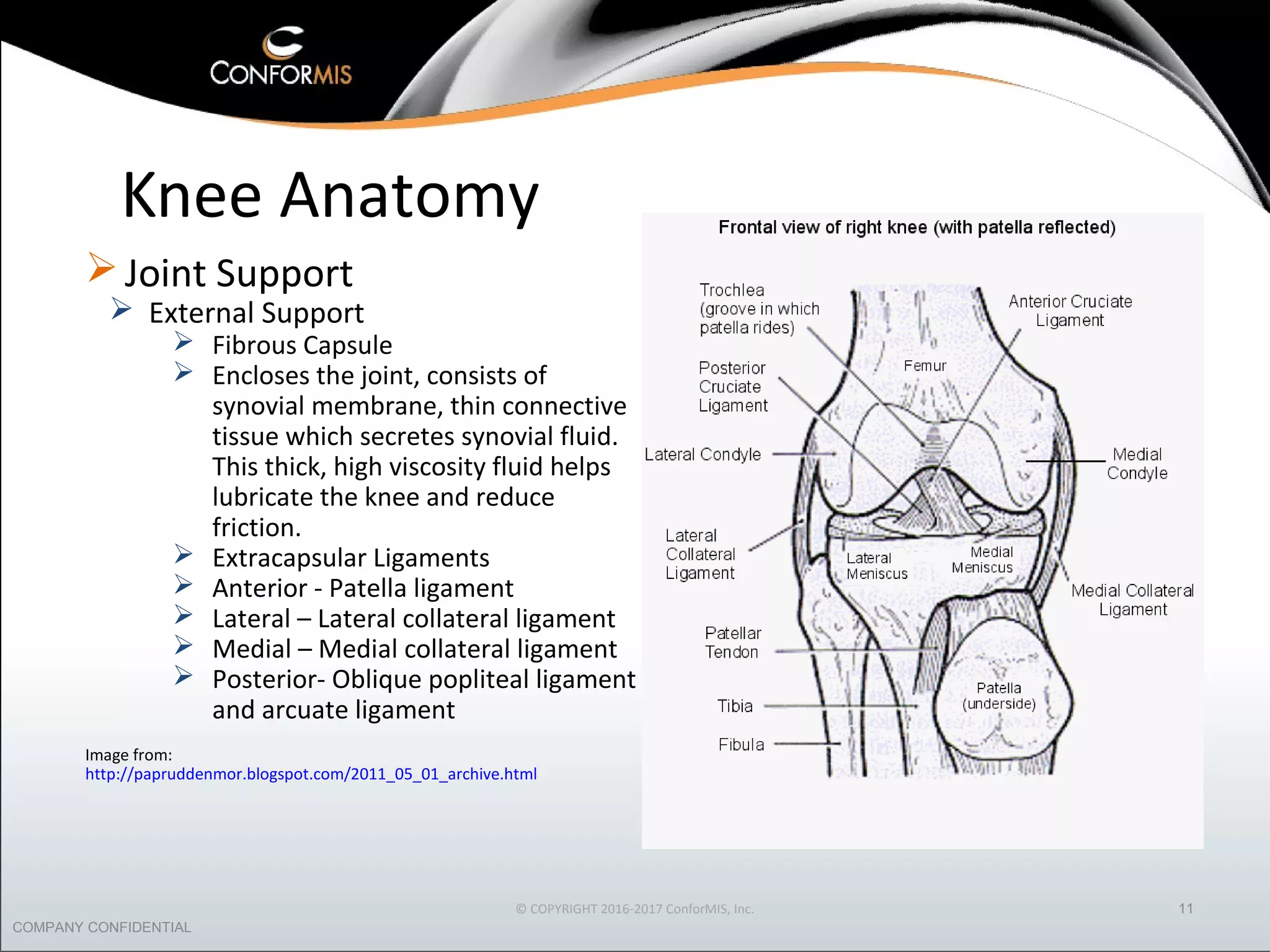 The osteoarthritic knee and hip 2016 | PPT