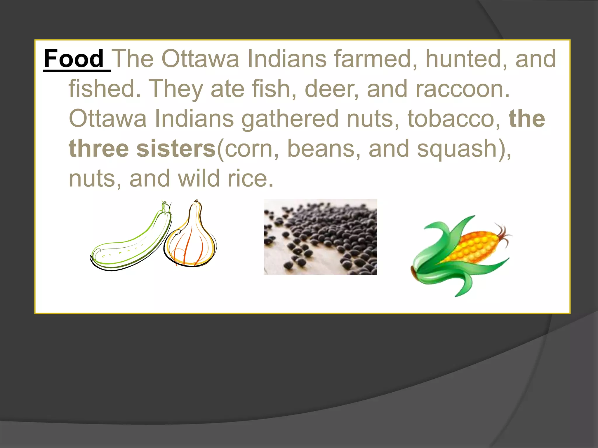 The Ottawa Indians | PPTX