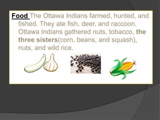 The Ottawa Indians | PPTX