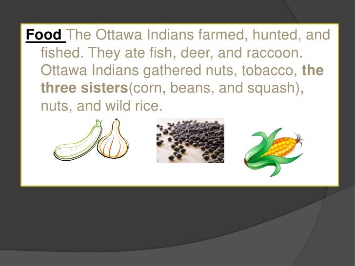The Ottawa Indians