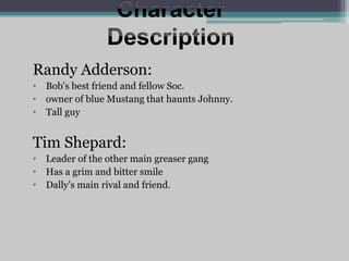 The Outsiders Randy Adderson