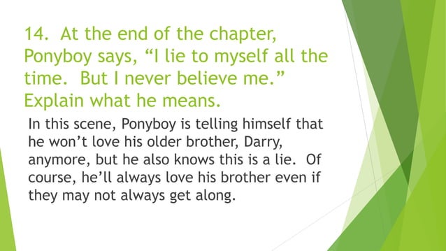 The Outsiders Chapter One | PPTX