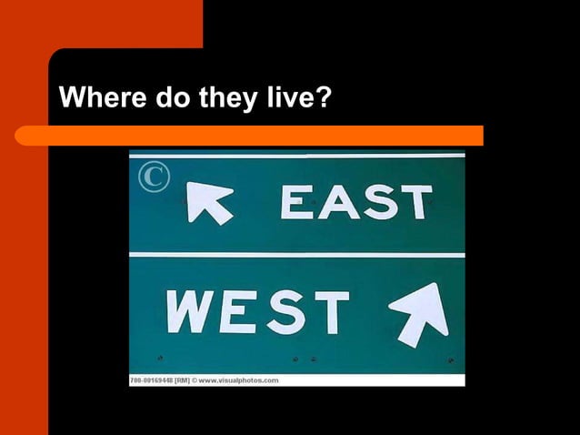 The outsiders intro preso | PPT