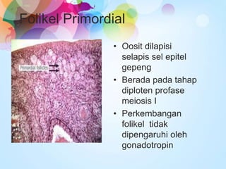 THE OVARIAN LIFE CYCLE.ppt