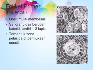 THE OVARIAN LIFE CYCLE.ppt