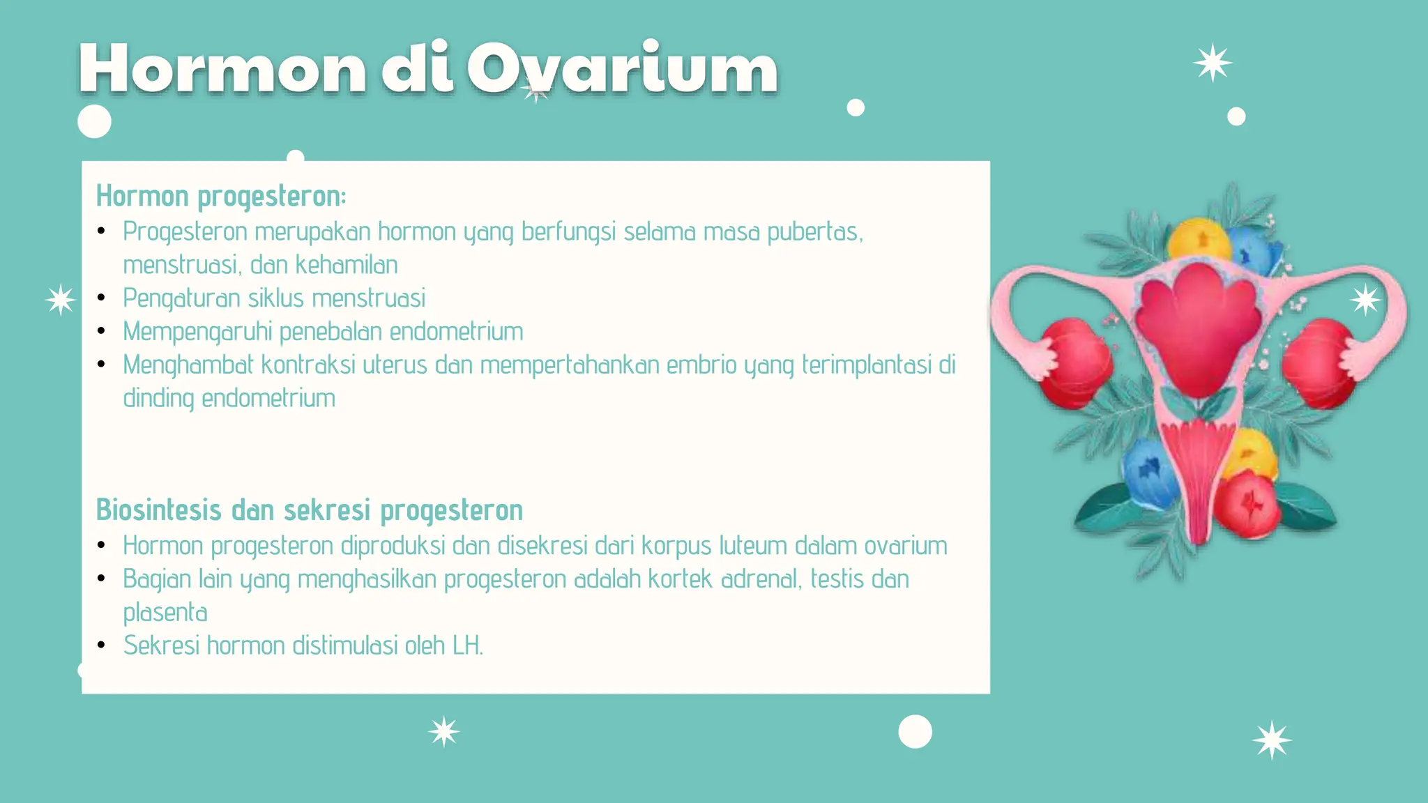 the ovarian life cycle.(siklus ovarium) ppt | PPT