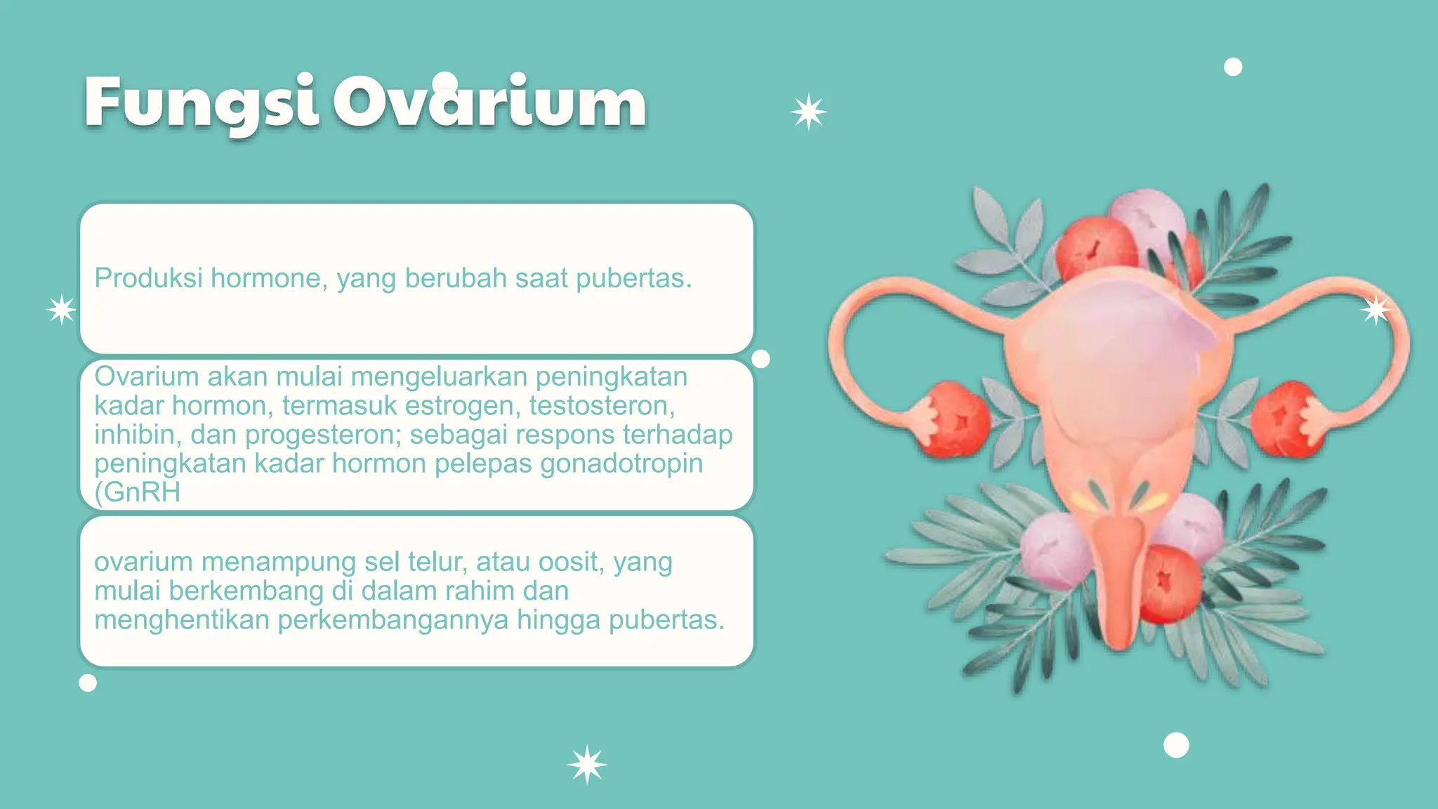 the ovarian life cycle.(siklus ovarium) ppt | PPT
