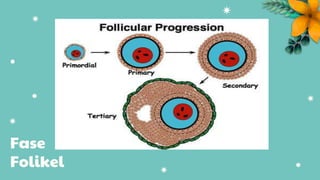 the ovarian life cycle.(siklus ovarium) ppt | PPTX
