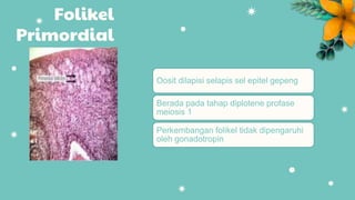 the ovarian life cycle.(siklus ovarium) ppt | PPT