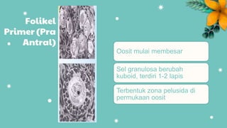 the ovarian life cycle.(siklus ovarium) ppt | PPT