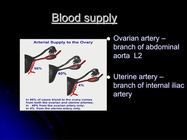 The Ovary ong medical note students nuig | PPT