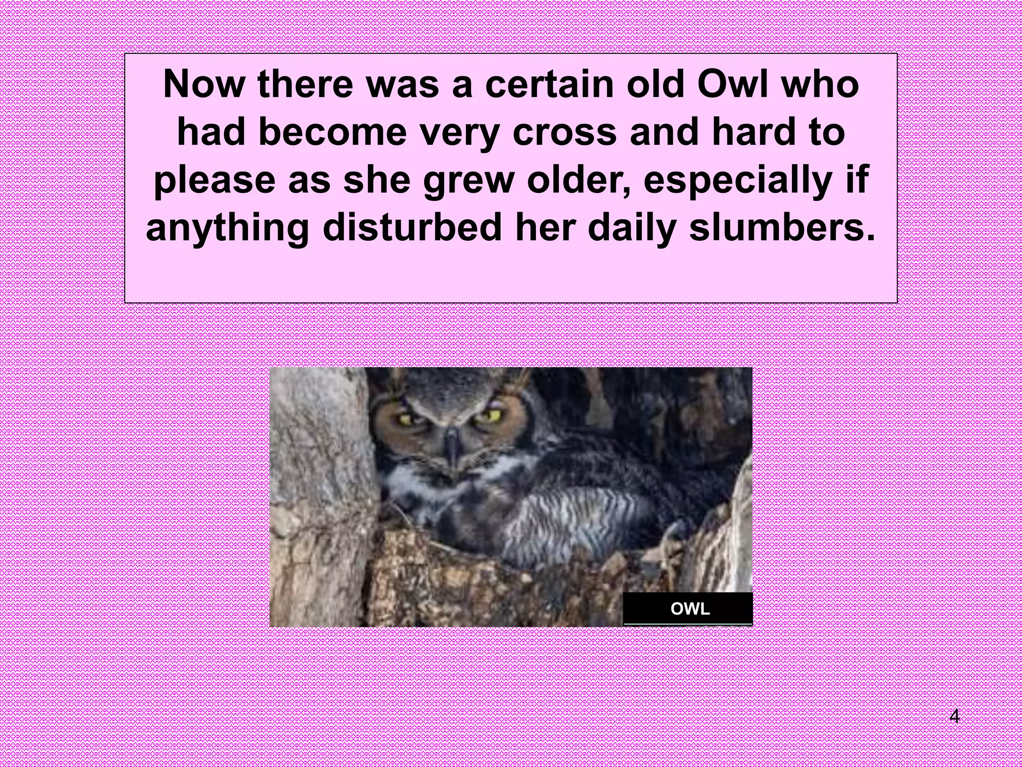 The Owl and the Grasshopper - An Aesop's Fable | PPT