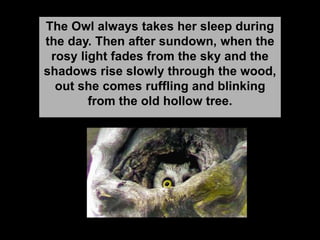 The Owl and the Grasshopper - An Aesop's Fable | PPT
