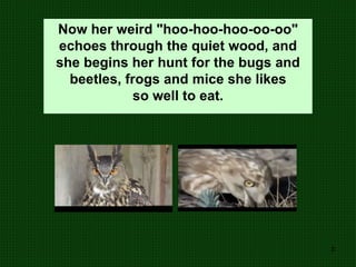 The Owl and the Grasshopper - An Aesop's Fable | PPT