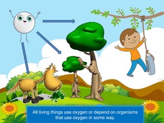 The Oxygen Cycle | PPTX