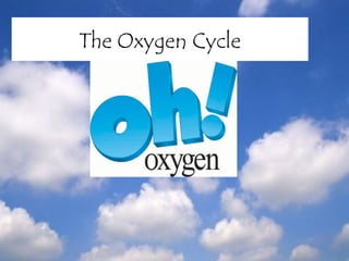 The Oxygen Cycle PowerPoint Presentation | PPT