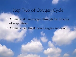 The Oxygen Cycleewdfewdfeweweee 2 PP.ppt | Chemistry | Science