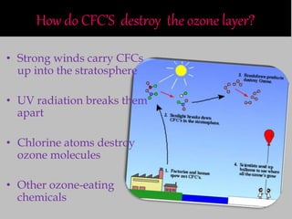 The ozone hole | PPTX