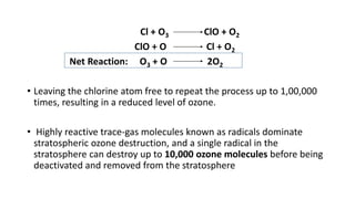 The Ozone Layer: Formation and Depletion | PPTX