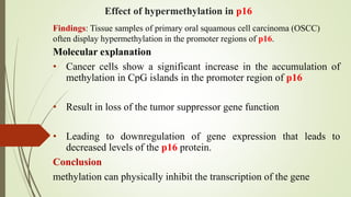The p16 gene | PPTX