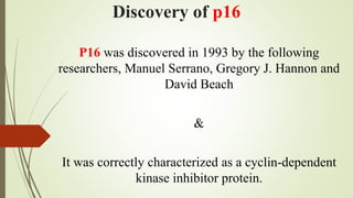 The p16 gene | PPTX