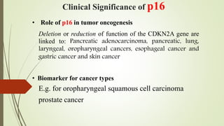The p16 gene | PPTX
