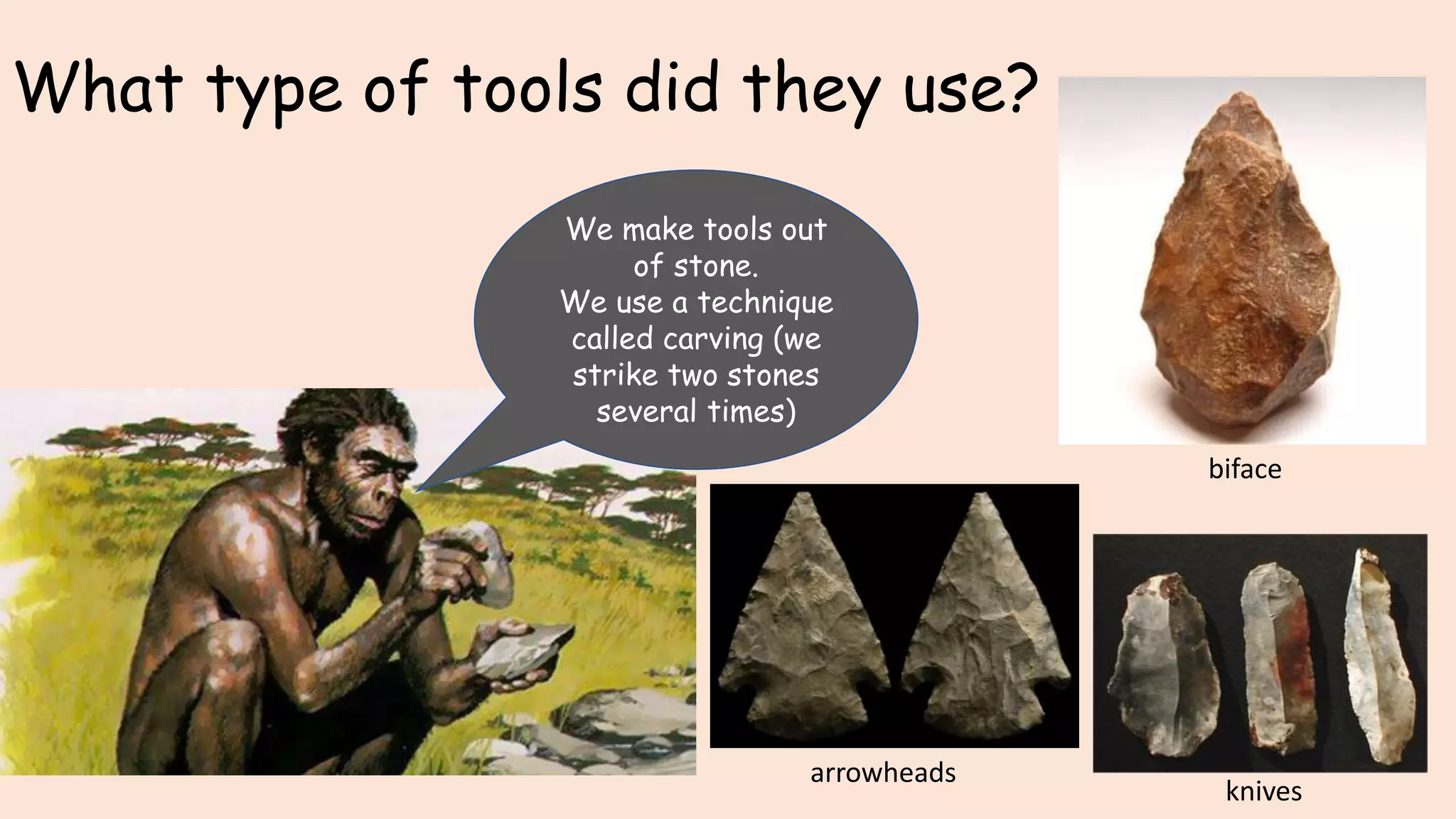 The Palaeolithic | PPT