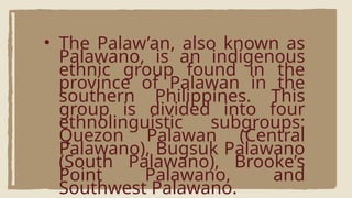 THE PALAW'AN (IP in the Philippines) PPT | PPTX