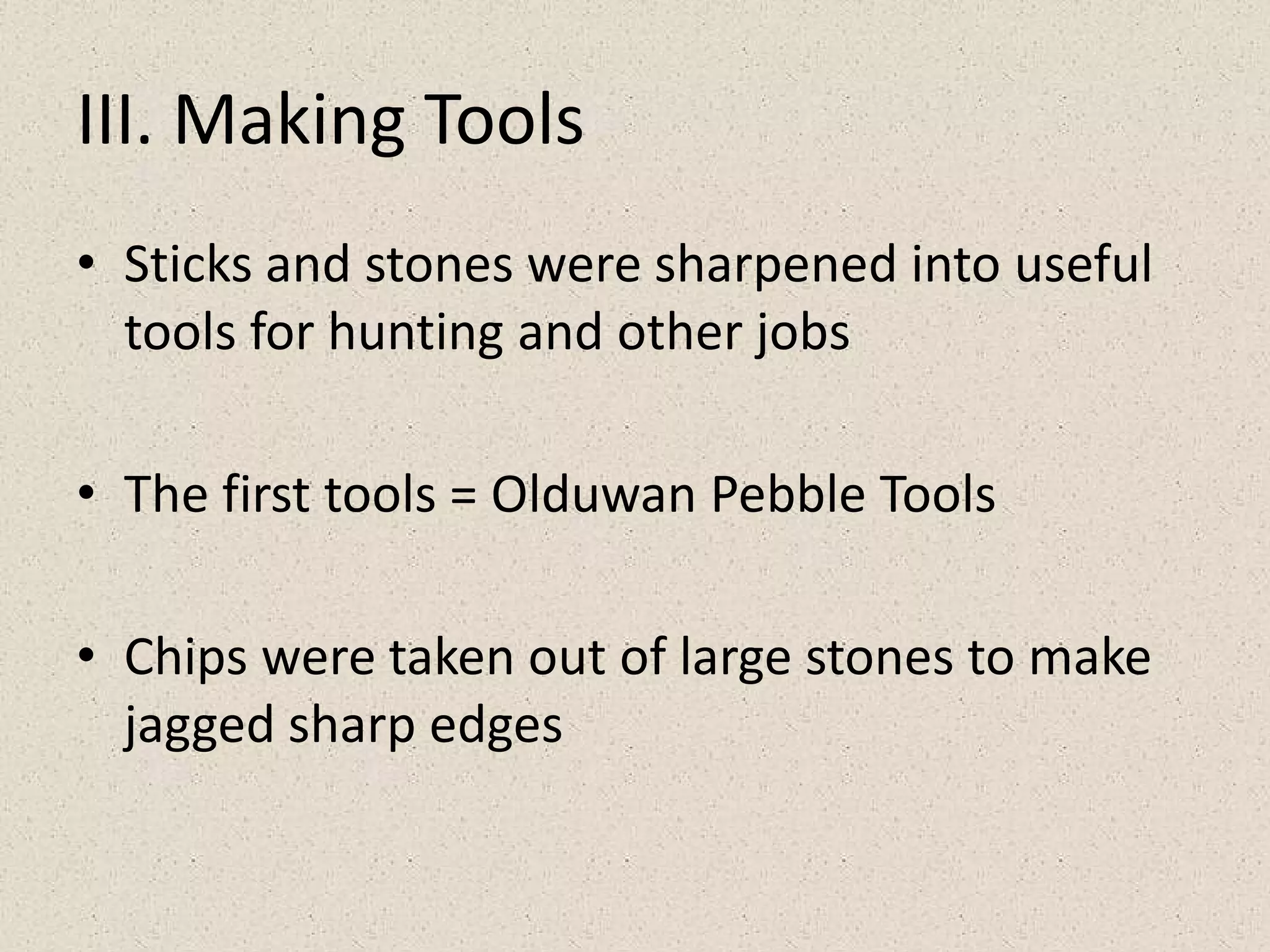 The Paleolithic Age.pdf