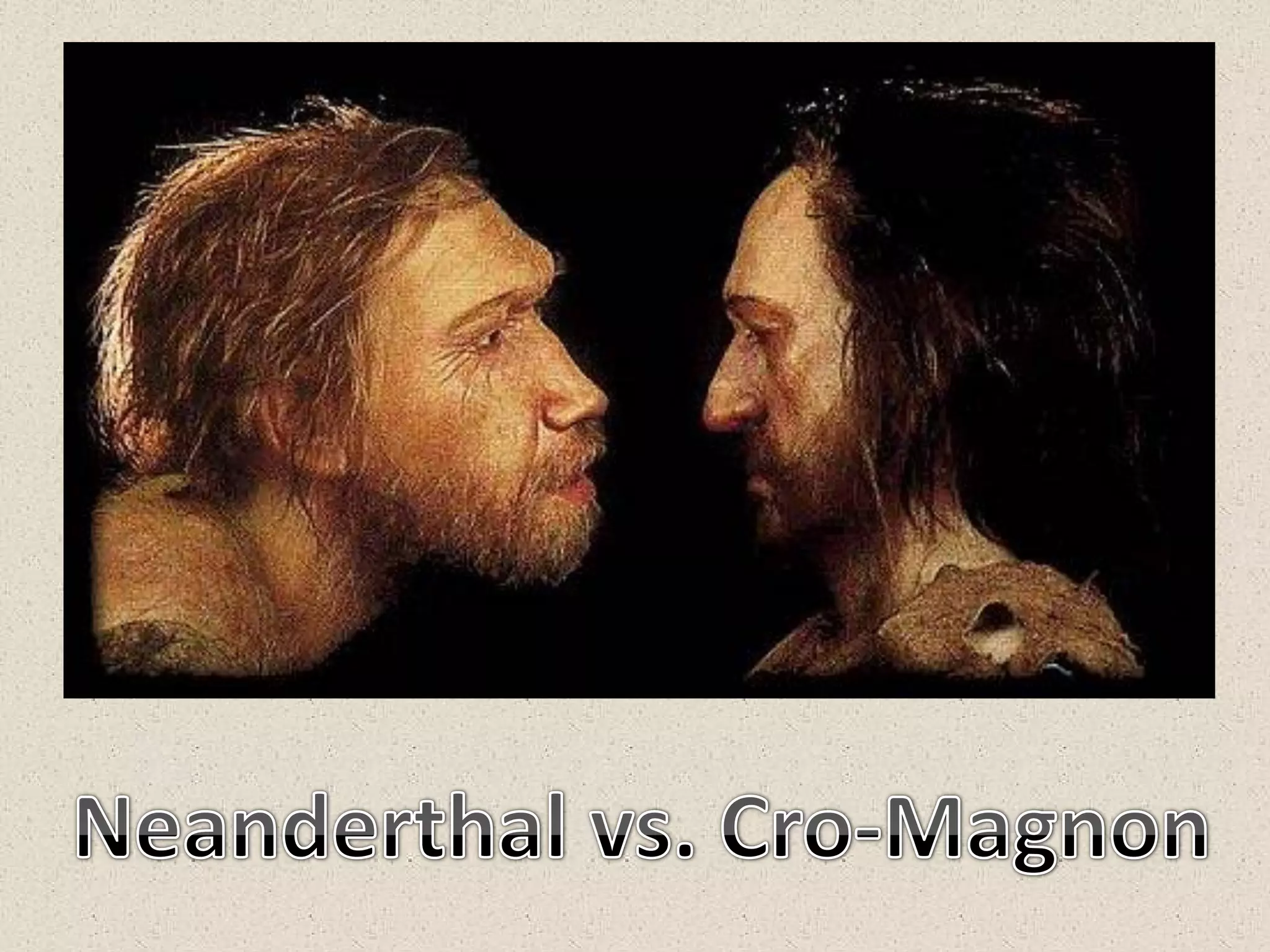 The Paleolithic Age.pdf