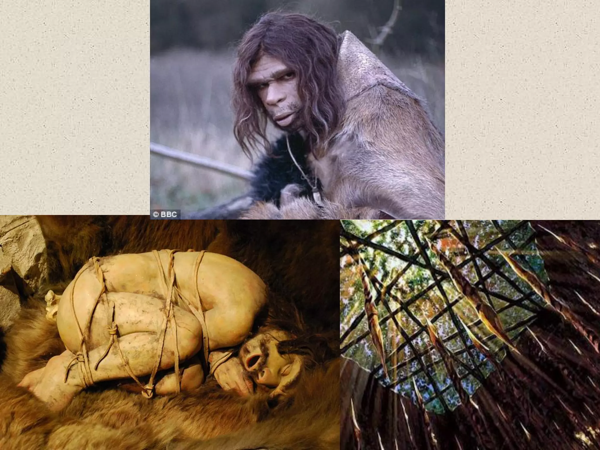 The Paleolithic Age.pdf