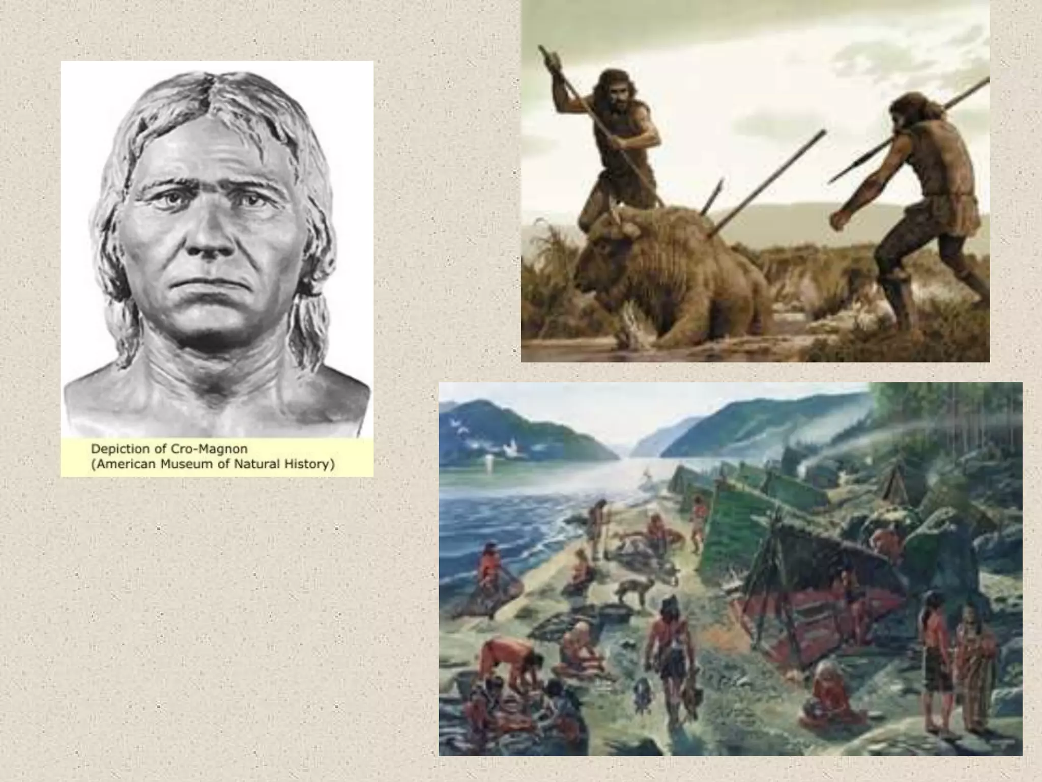 The Paleolithic Age.pdf