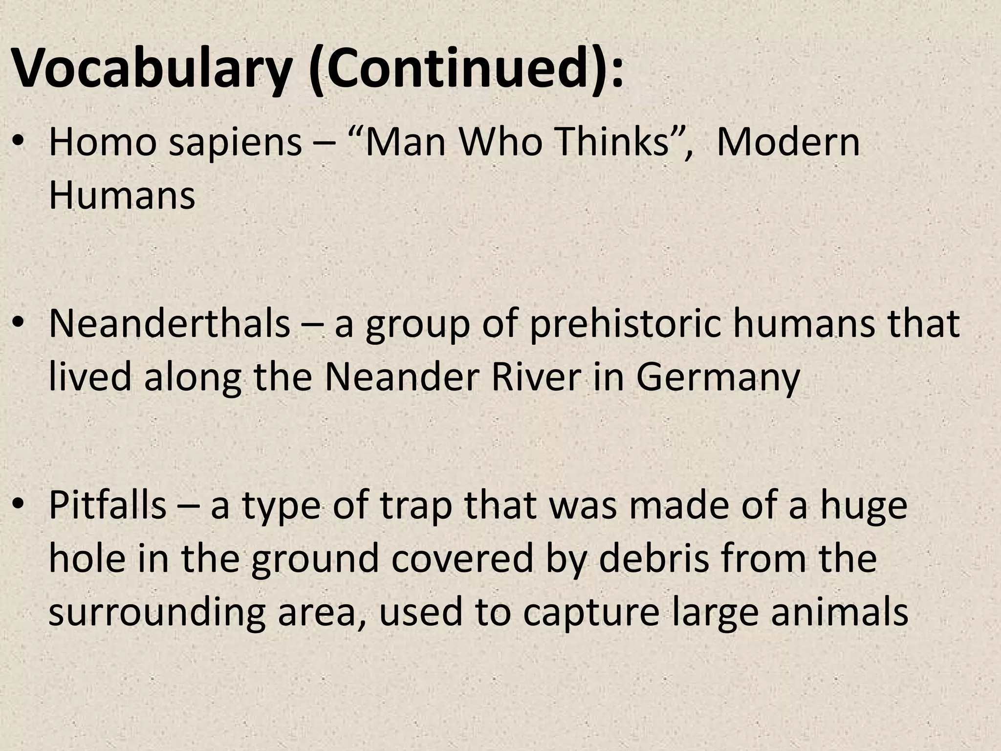 The Paleolithic Age.pdf