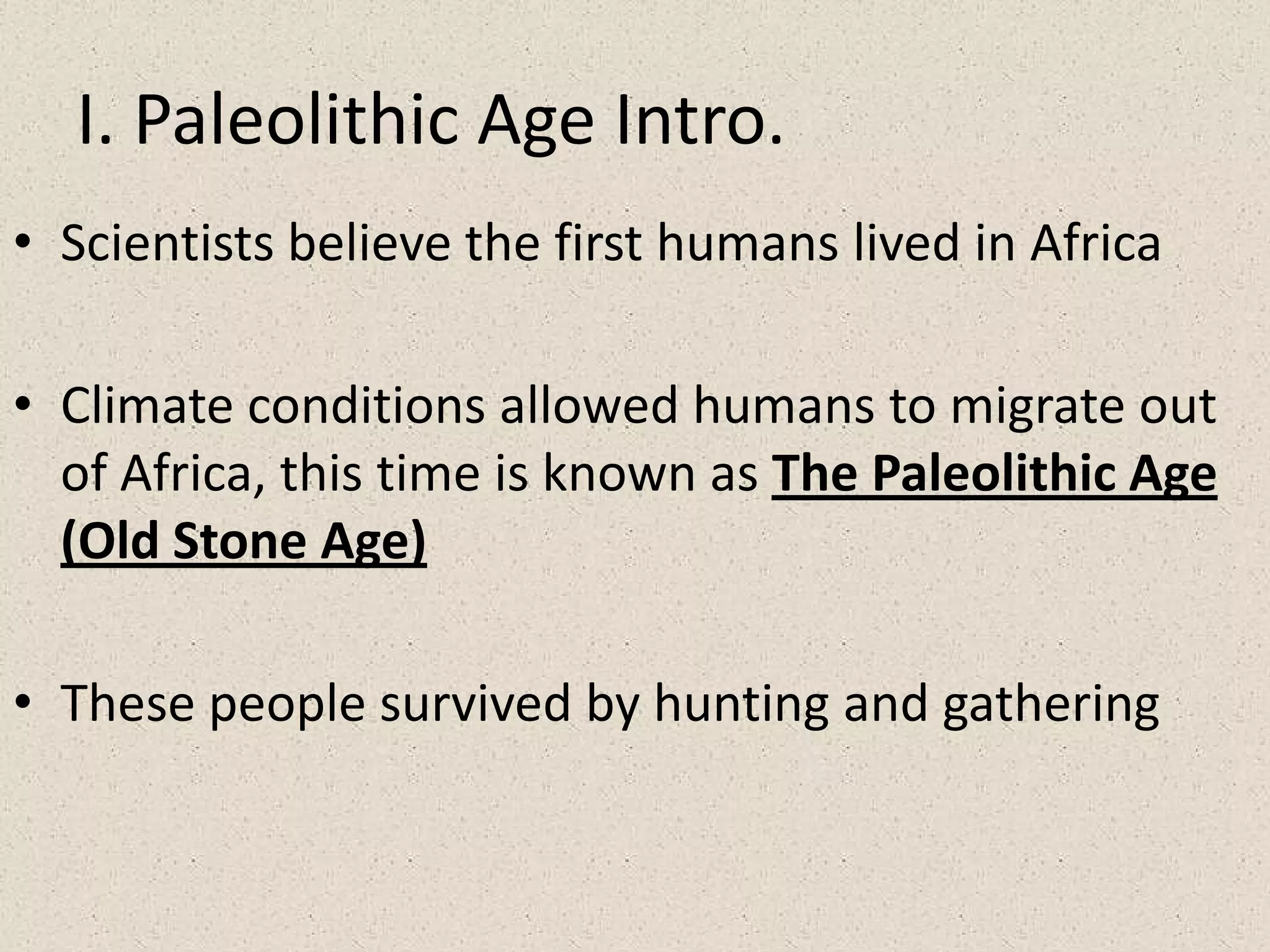 The Paleolithic Age.pdf