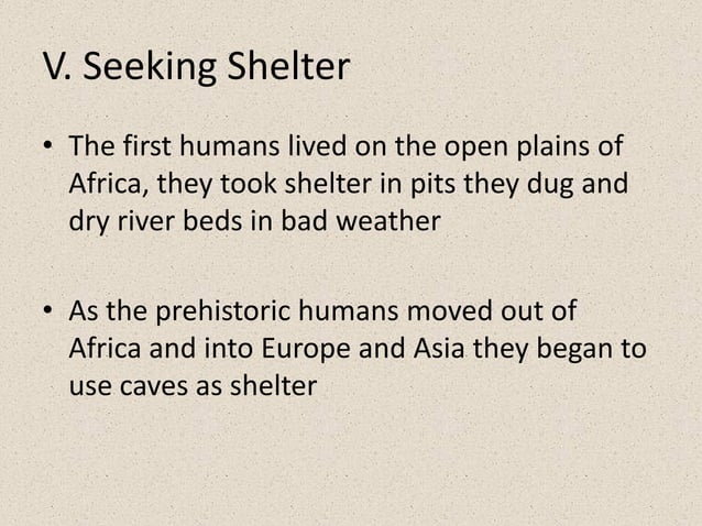 The Paleolithic Age.pdf