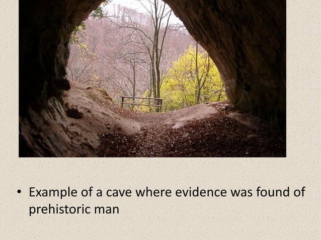 The Paleolithic Age.pdf