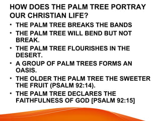 The palm tree and the christian life | PPT